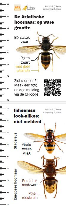 Flyers en communicatie - Nederlandse Bijenhouders Vereniging